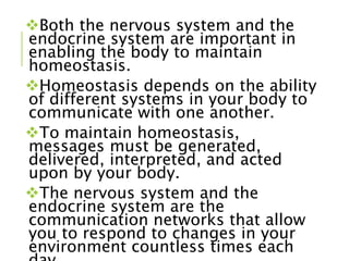 feedback mechanism.pptx