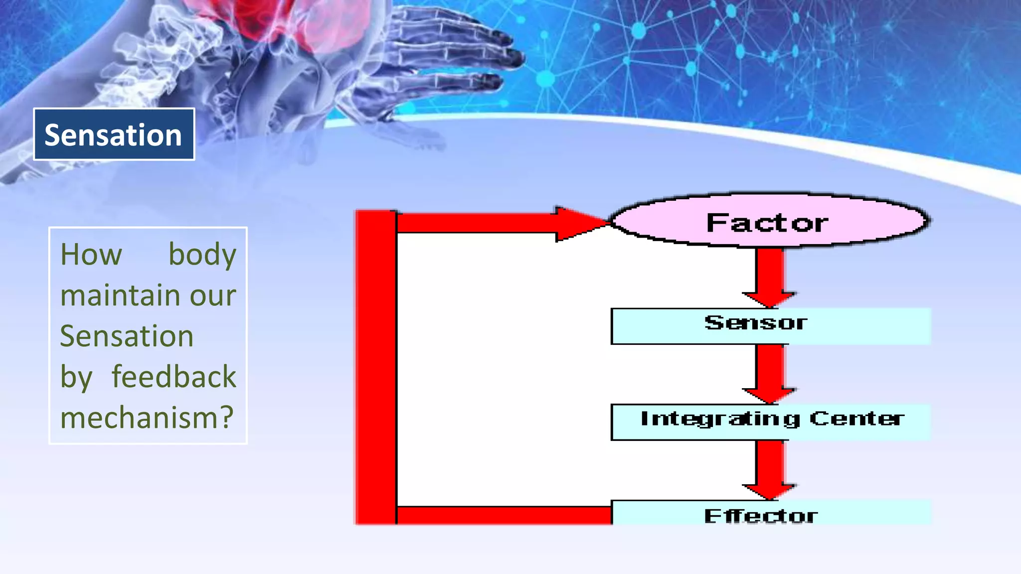 Feedback mechanism of metabolism (Positive and Negative feedback ...