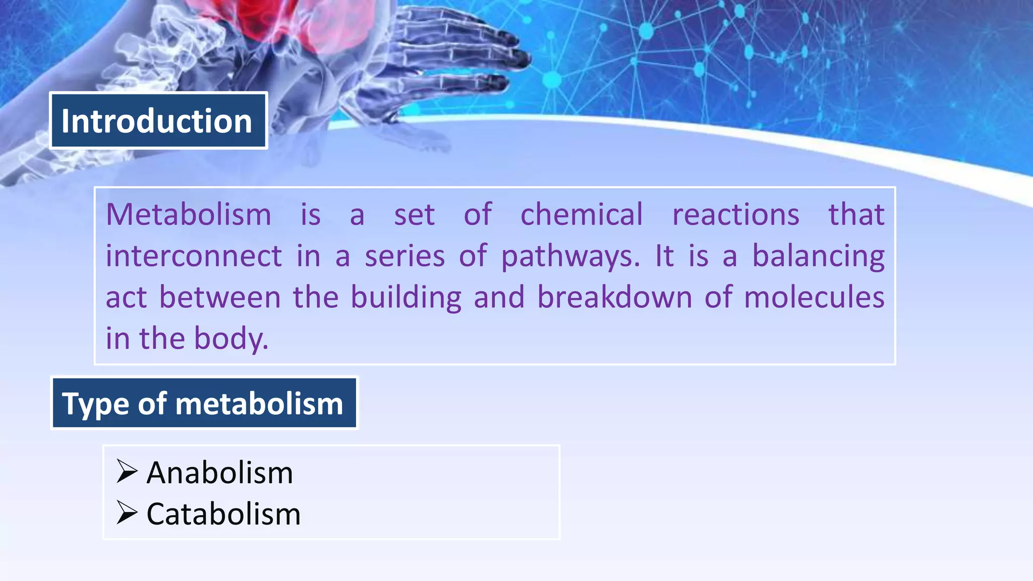 Feedback mechanism of metabolism (Positive and Negative feedback ...
