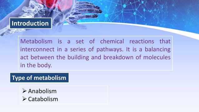 Feedback mechanism of metabolism (Positive and Negative feedback ...