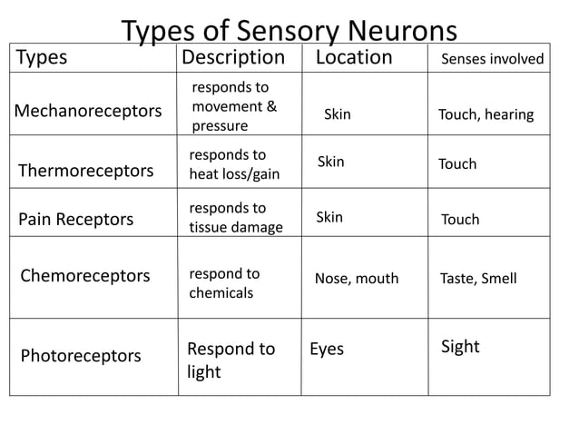 Feedback Mechanisms and types of neurons.pdf