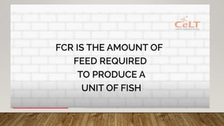 feed conversion ratio.pptx
