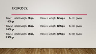 feed conversion ratio.pptx