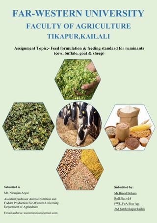 feed formuations .pdf