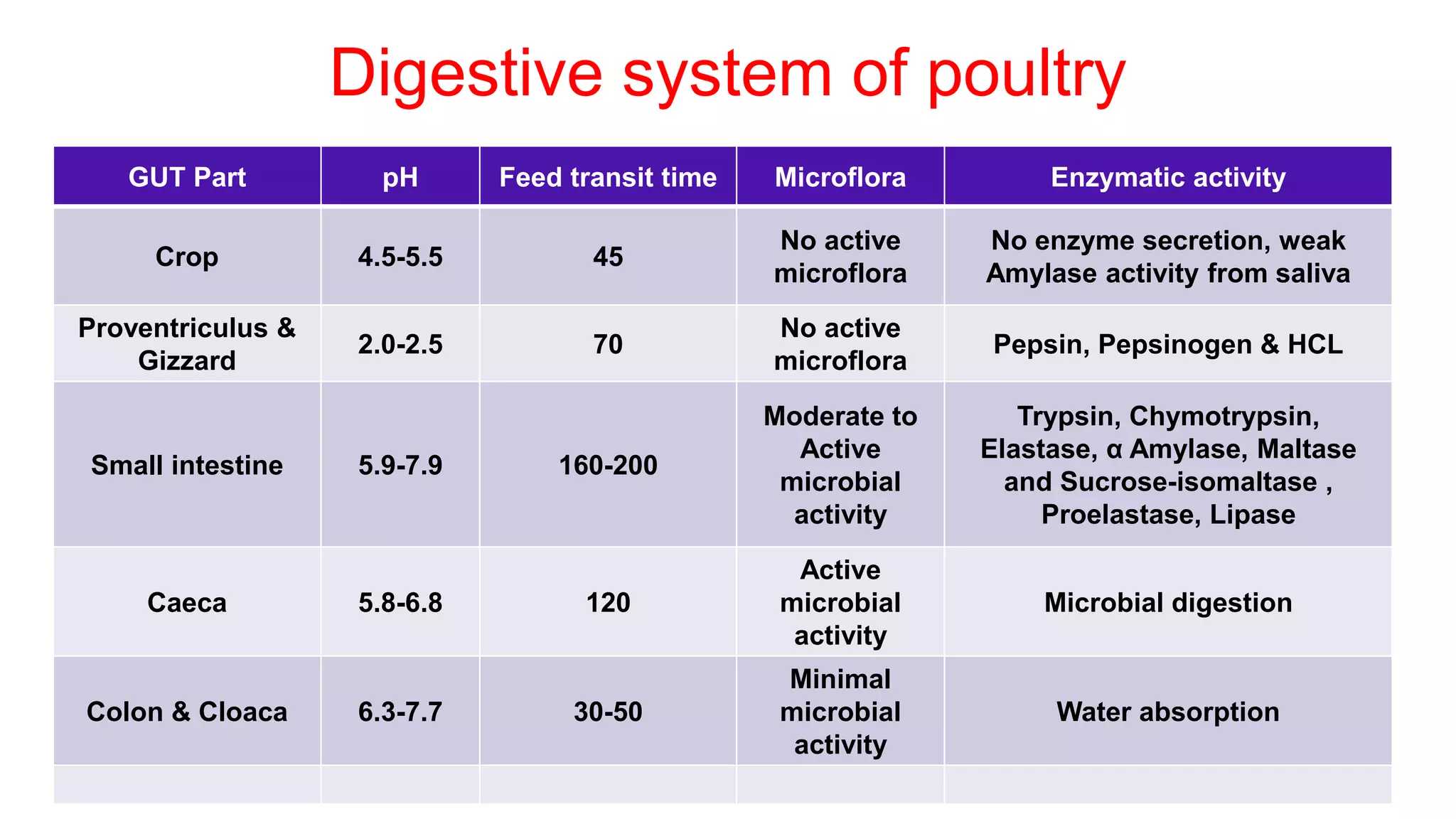 Poultry Feed formulation | PPT