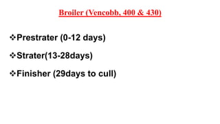 Poultry Feed formulation | PPT
