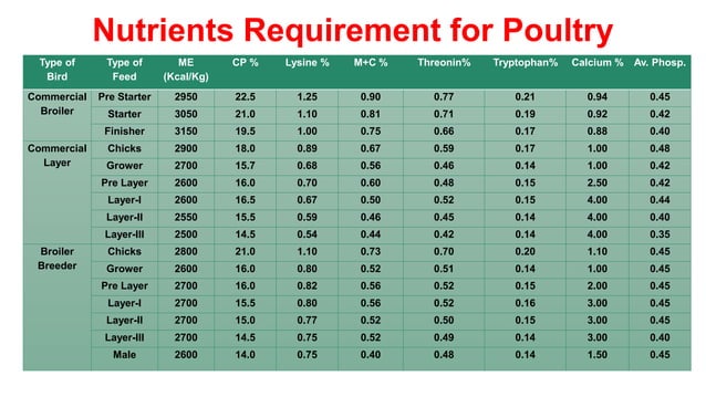 Poultry Feed formulation | PPT | Pet Supplies | Pets