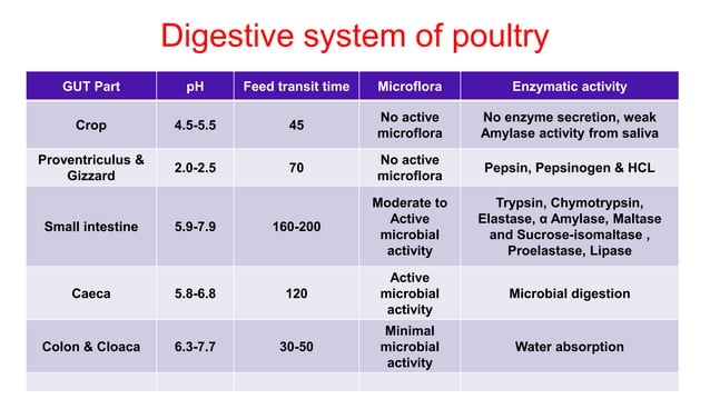 Poultry Feed formulation | PPT | Pet Supplies | Pets
