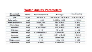 Poultry Feed formulation | PPT