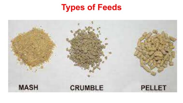 Poultry Feed formulation | PPT | Pet Supplies | Pets