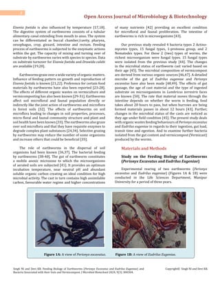 Feeding Biology of Earthworms (Perionyx Excavatus and Eudrilus Eugeniae ...
