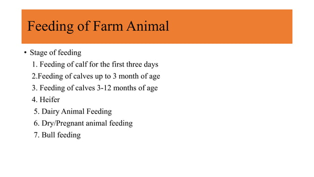 Feeding-of-Farm-Animal.pptx | Food & Drink