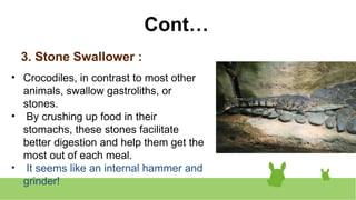 Feeding and Breeding Biology of Crocodile.pptx