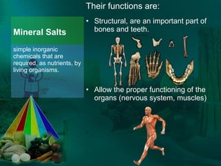 Feeding and nutrition | PPT