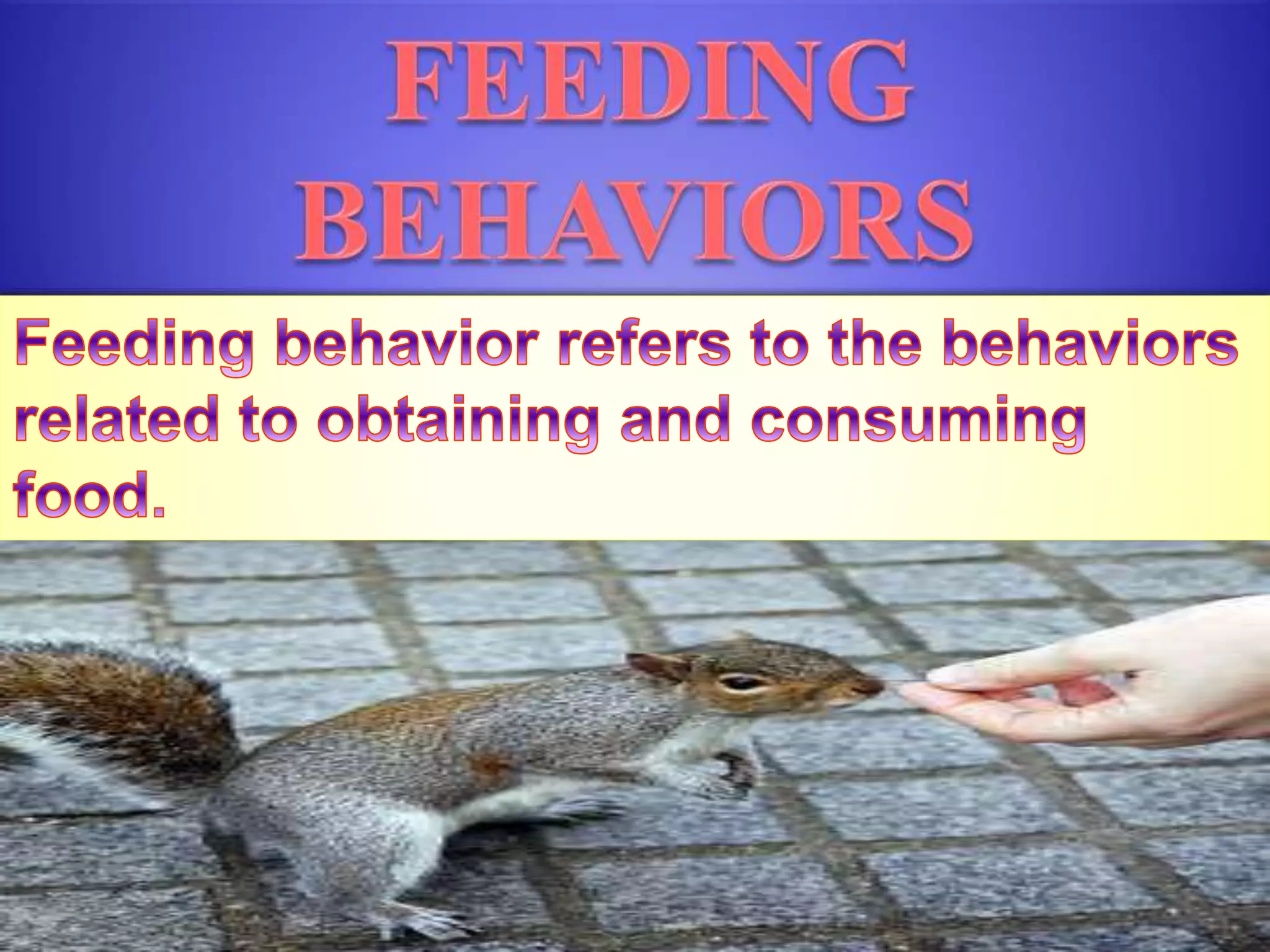 Feeding behaviors | PPTX