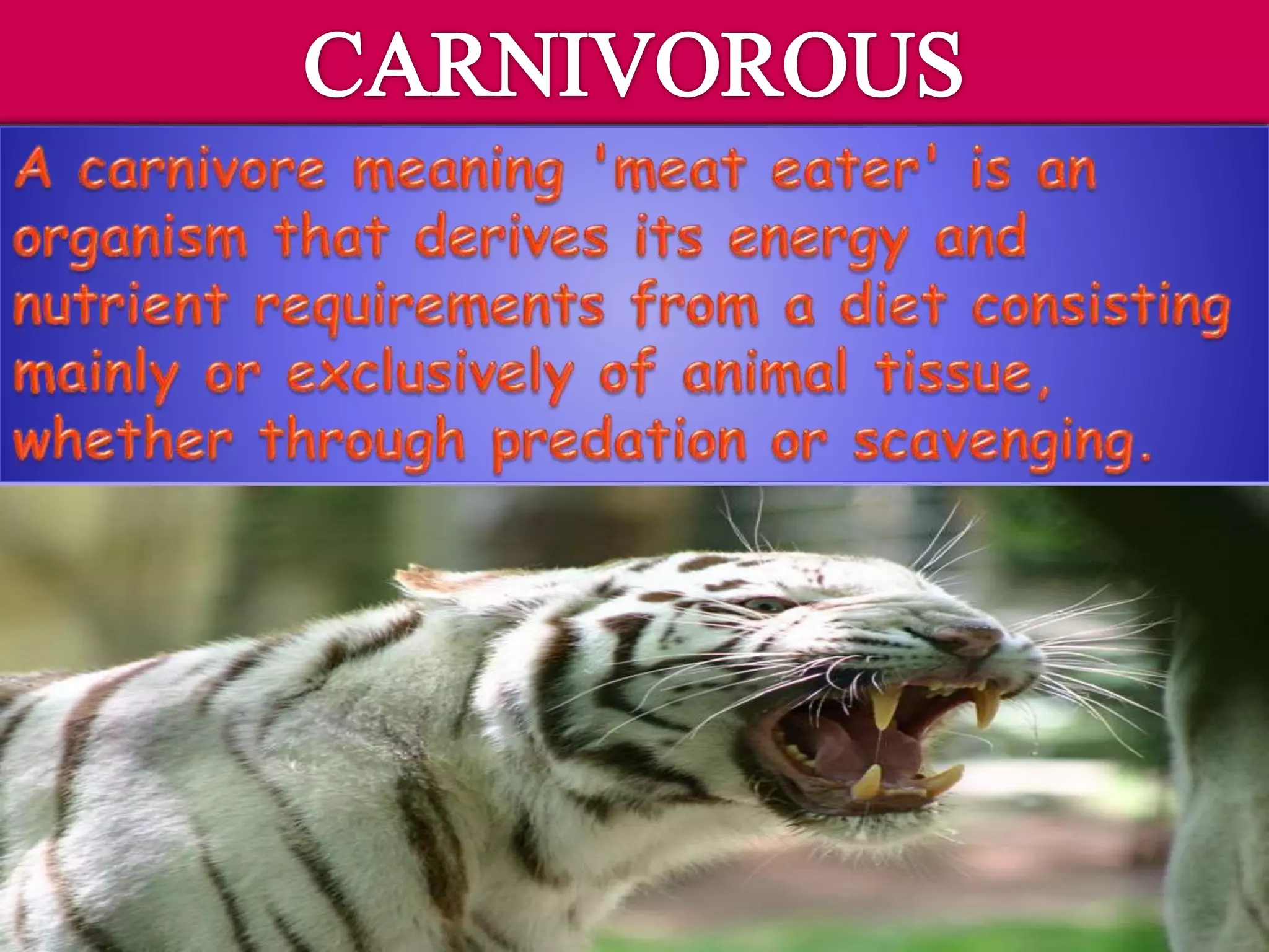 Feeding behaviors | PPTX