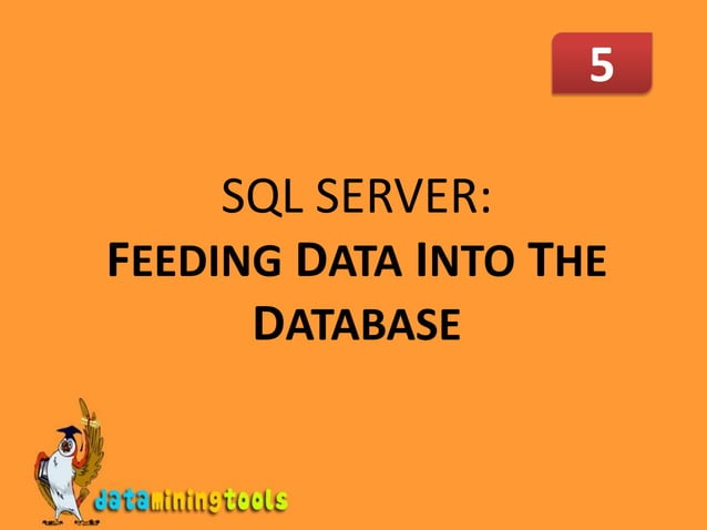 MS Sql Server: Feeding Data Into Database