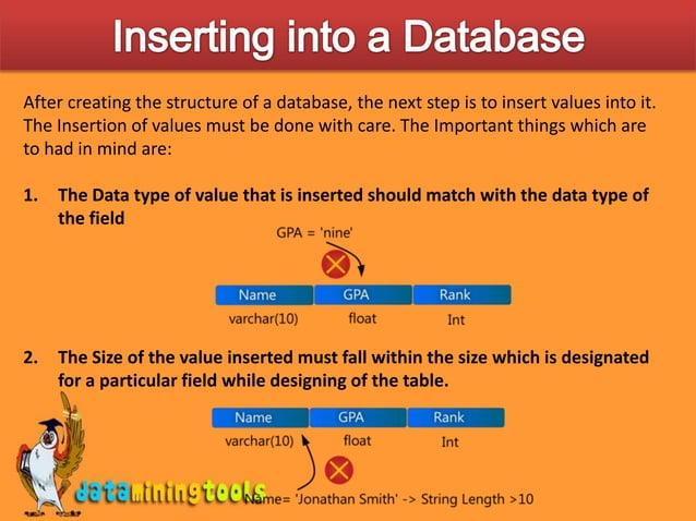 MS SQL SERVER: Feeding Data Into Database | PPTX