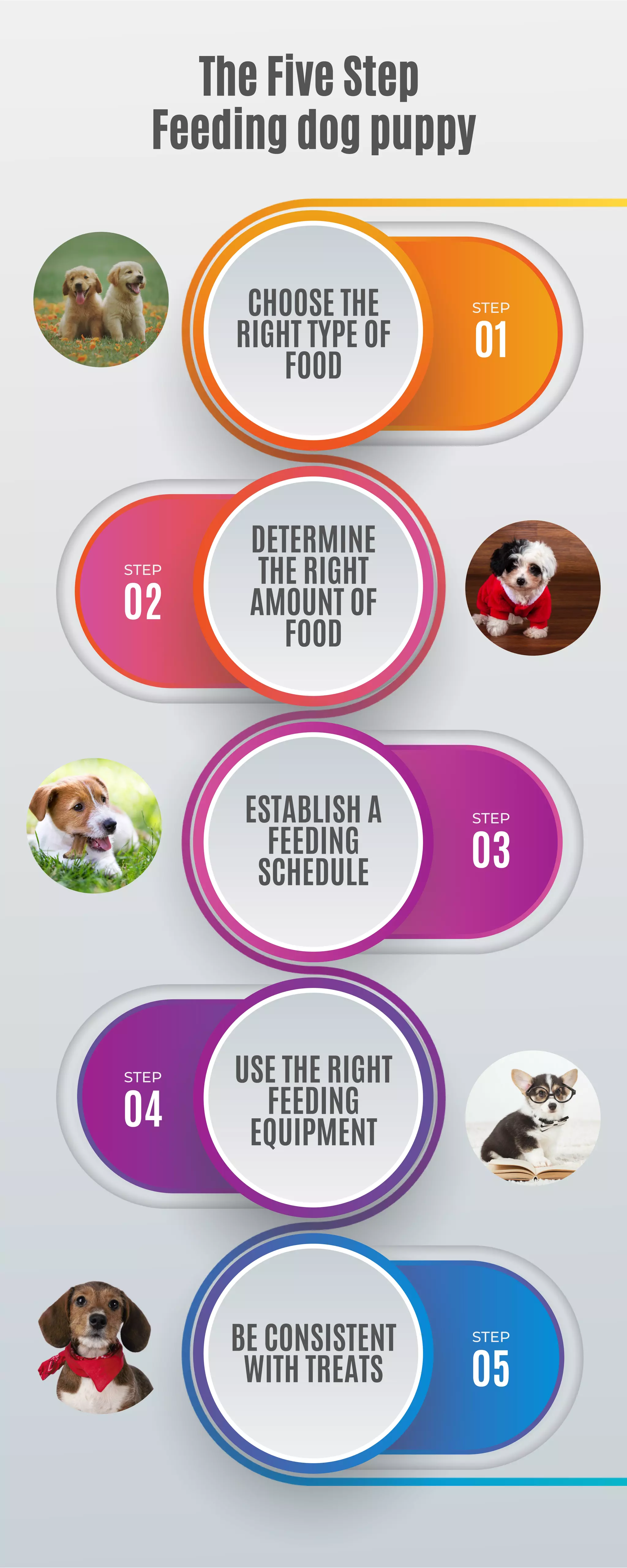 Feeding dog puppy.pdf