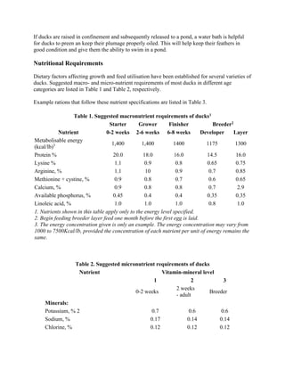 Feeding Ducks.docx | Birds | Pets