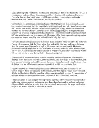 Feeding Ducks.docx | Birds | Pets