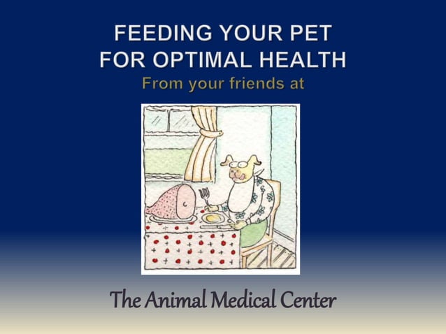 Feeding Your Pet for Optimal Health | PPT