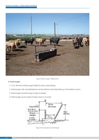 Feeding for quality feedlot handbook for pakistan | PDF