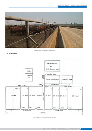 Feeding for quality feedlot handbook for pakistan | PDF