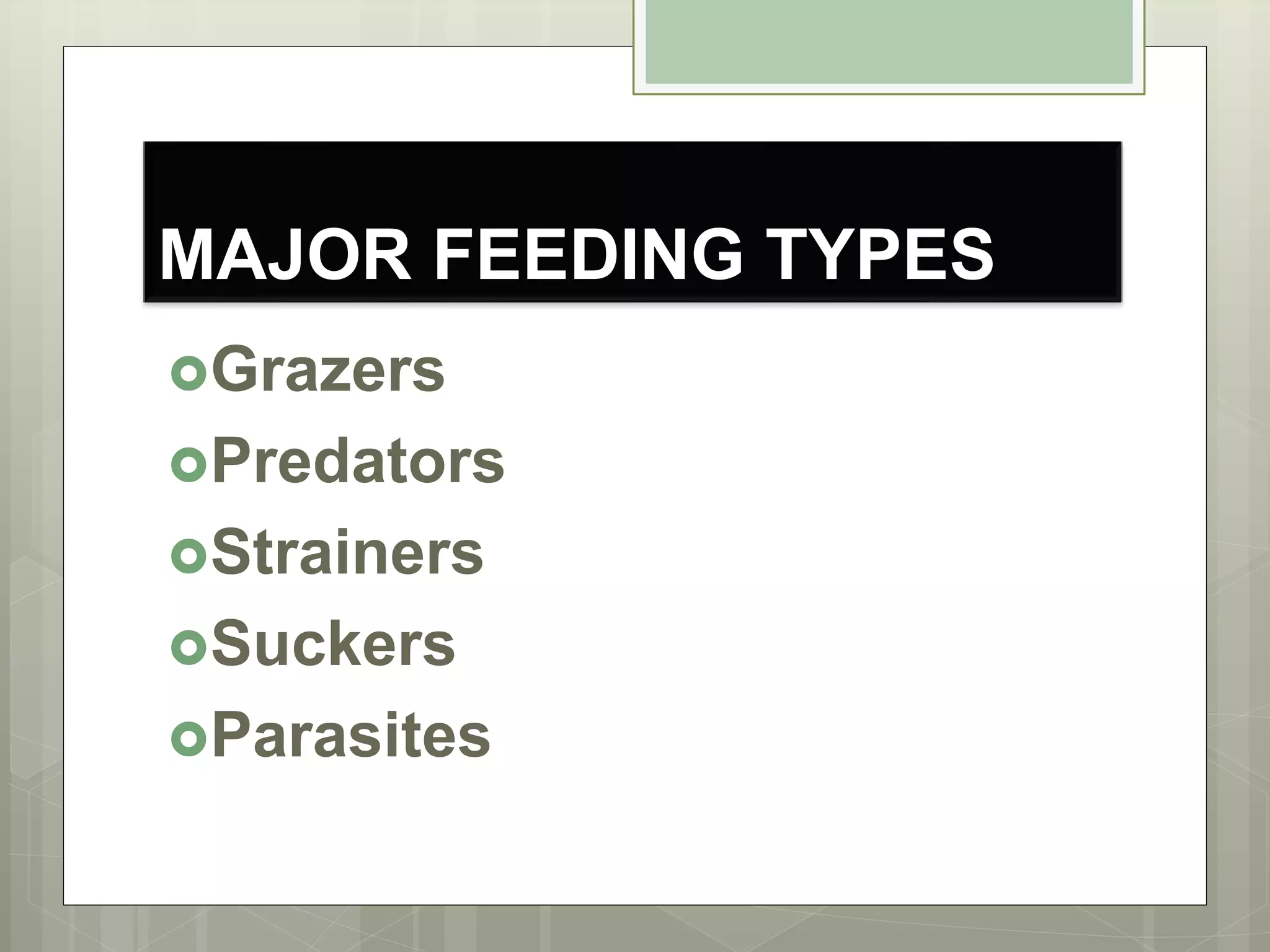 Feeding habit in fish | PPTX