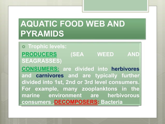 Feeding habit in fish | PPTX