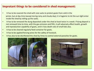 Feeding & housing.pptx