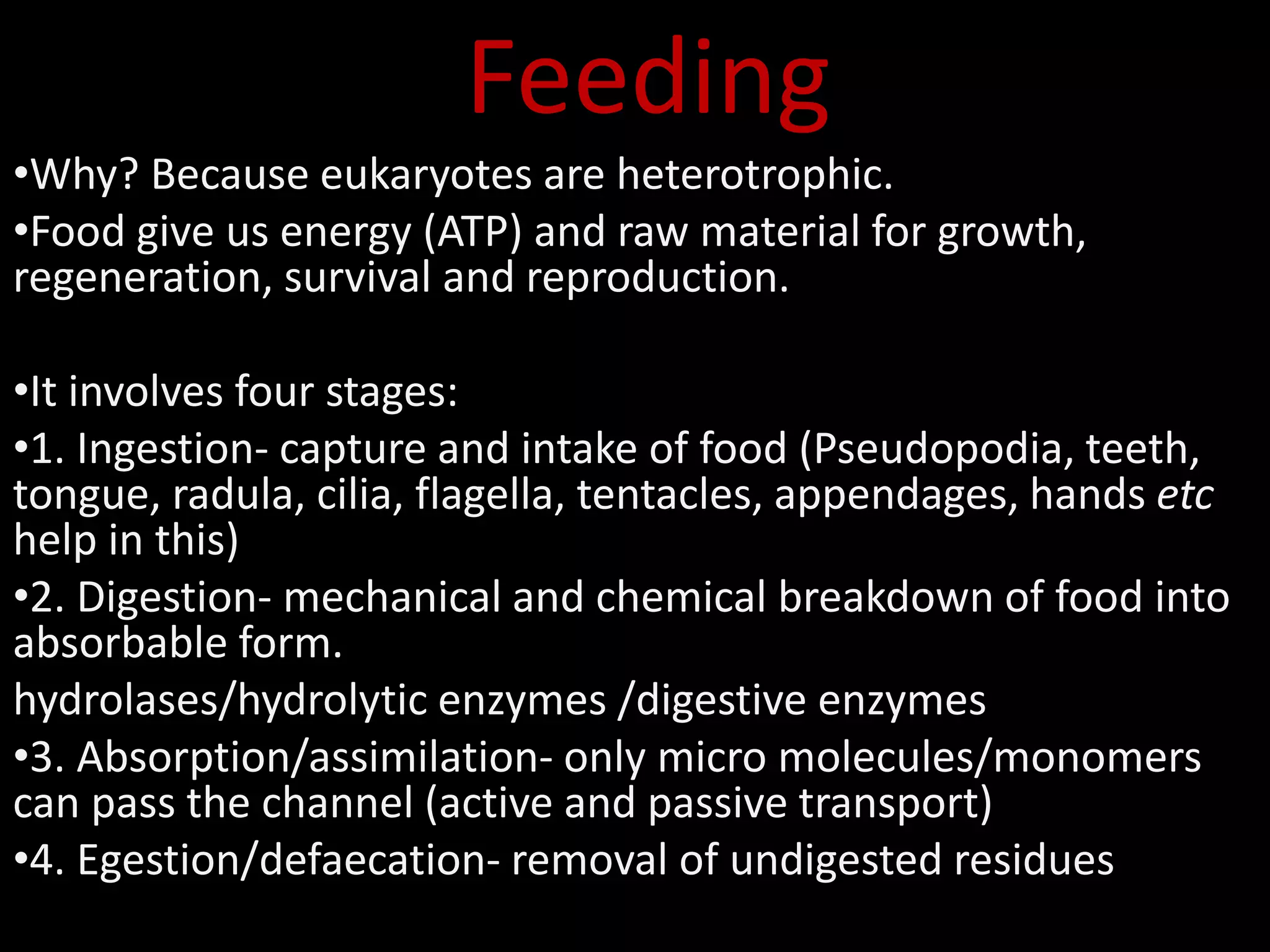 Feeding, digestion and feeding apparatus | PPTX