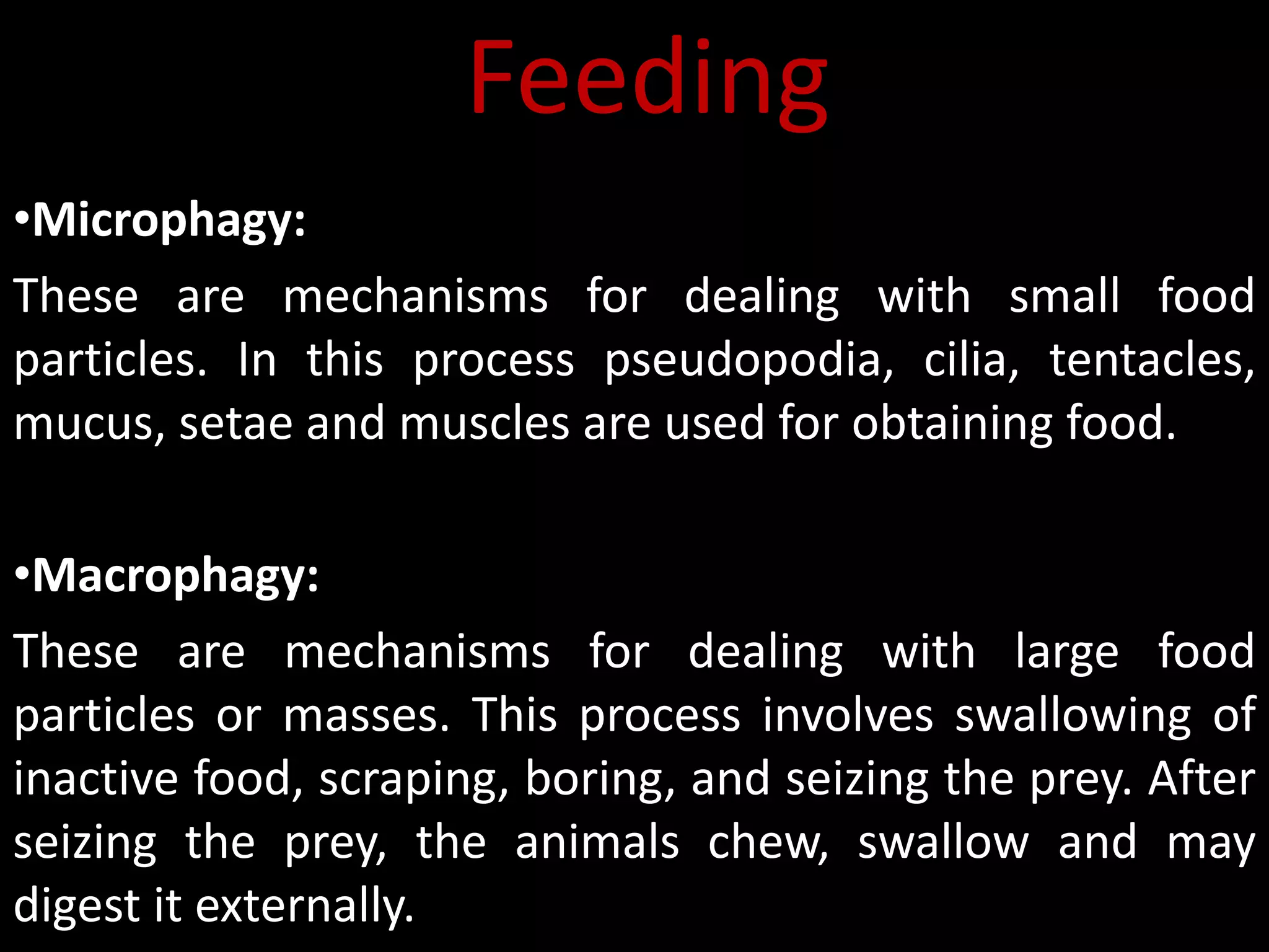 Feeding, digestion and feeding apparatus | PPTX