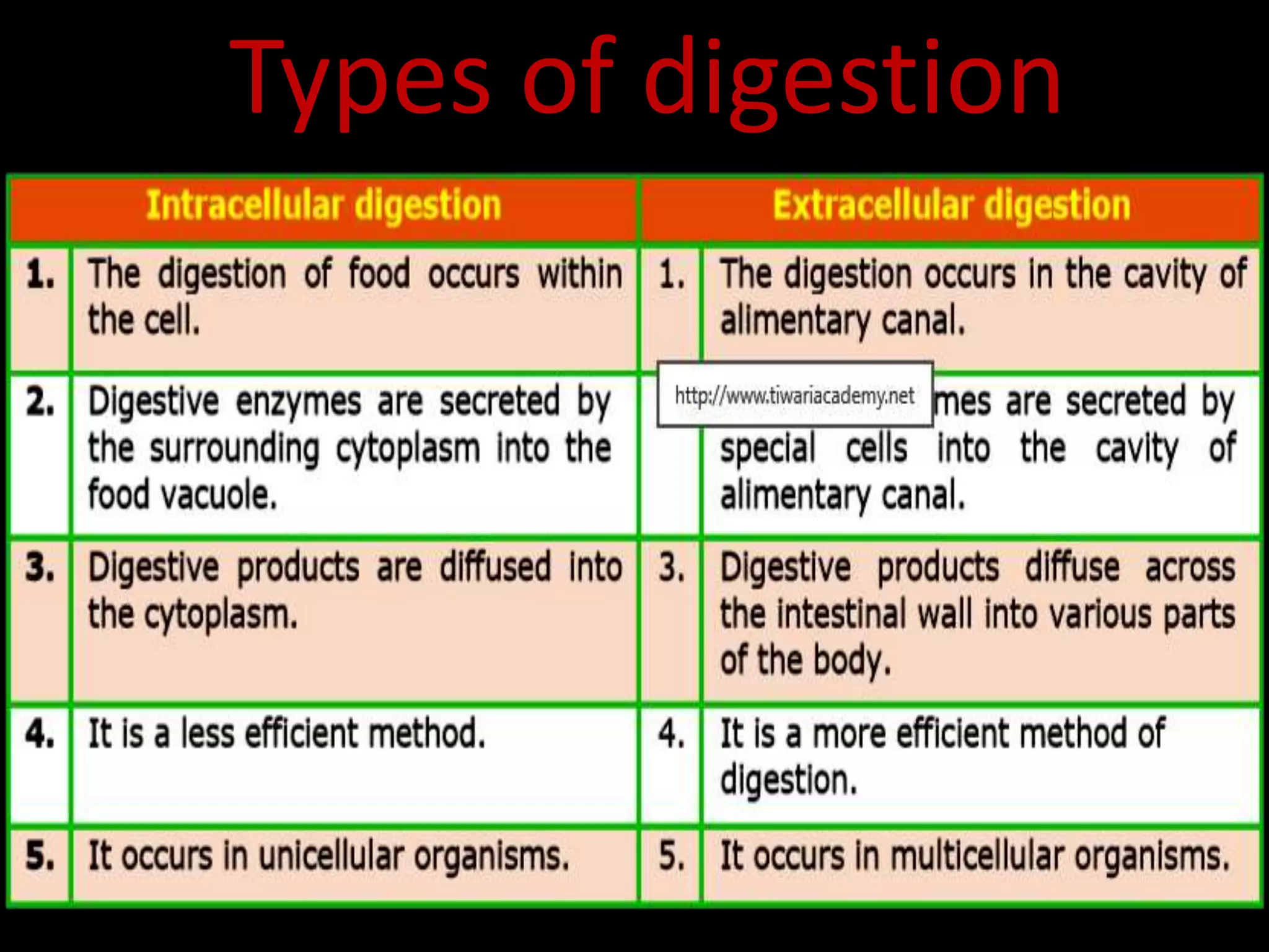 Feeding, digestion and feeding apparatus | PPTX
