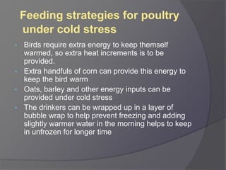 Feeding livestock and poultry under climate change | PPTX
