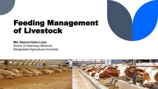 Feeding Management Strategies for Healthy and Productive Livestock | PPTX