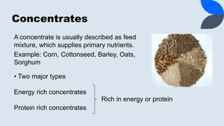 Feeding Management Strategies for Healthy and Productive Livestock | PPTX