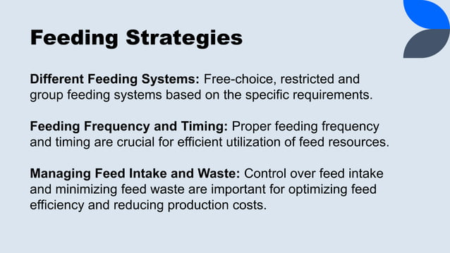 Feeding Management Strategies for Healthy and Productive Livestock ...