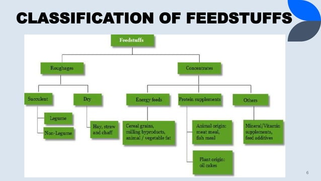 Feeding Management Strategies for Healthy and Productive Livestock ...