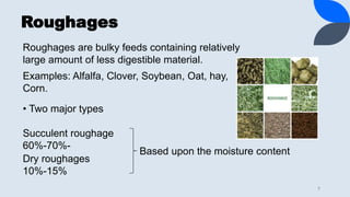Feeding Management Strategies for Healthy and Productive Livestock | PPTX