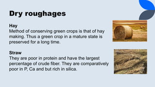 Feeding Management Strategies for Healthy and Productive Livestock | PPTX