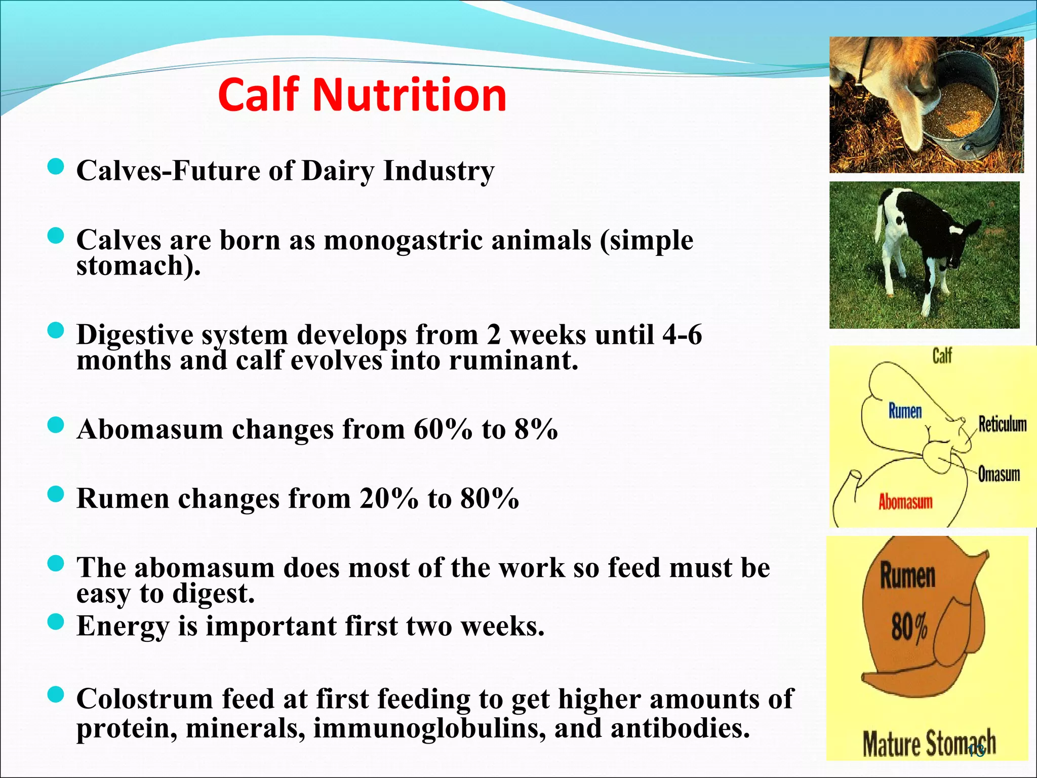 Feeding management of livestock during scarcity | PPT