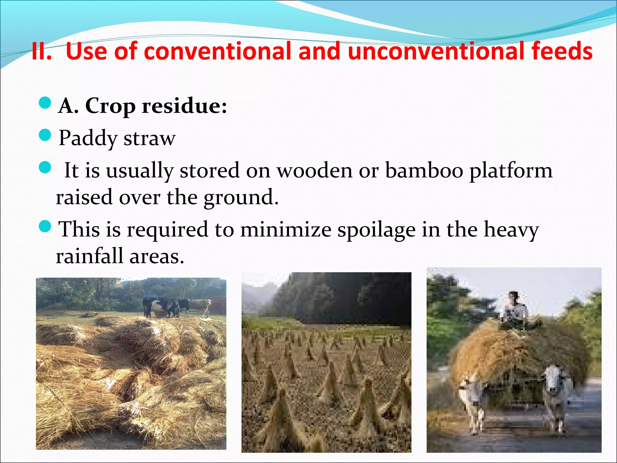 Feeding management of livestock during scarcity | PPT
