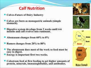 Feeding management of livestock during scarcity | PPT