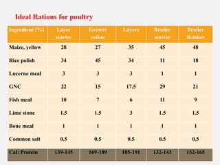 Feeding Management of Poultry.pdf detailed | PDF