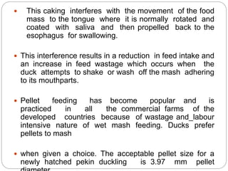 Feeding of differet sps of poultry | PPTX