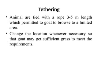 Feeding of goat in the intensive ppt.pptx