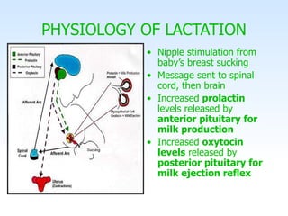 feeding of infants Breastfeeding and artificial feeding.ppt