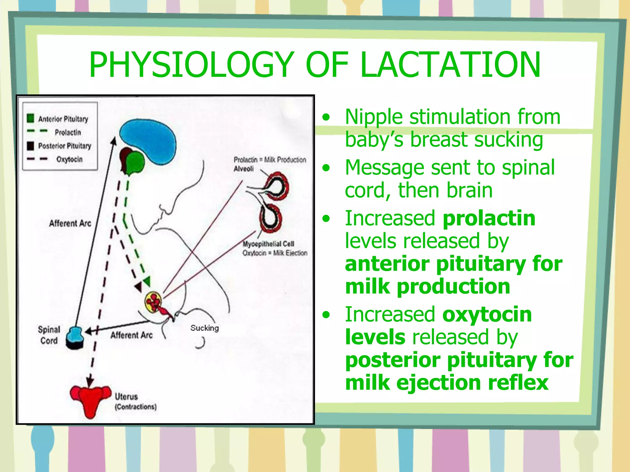 Feeding Of Infants And Children | PPT