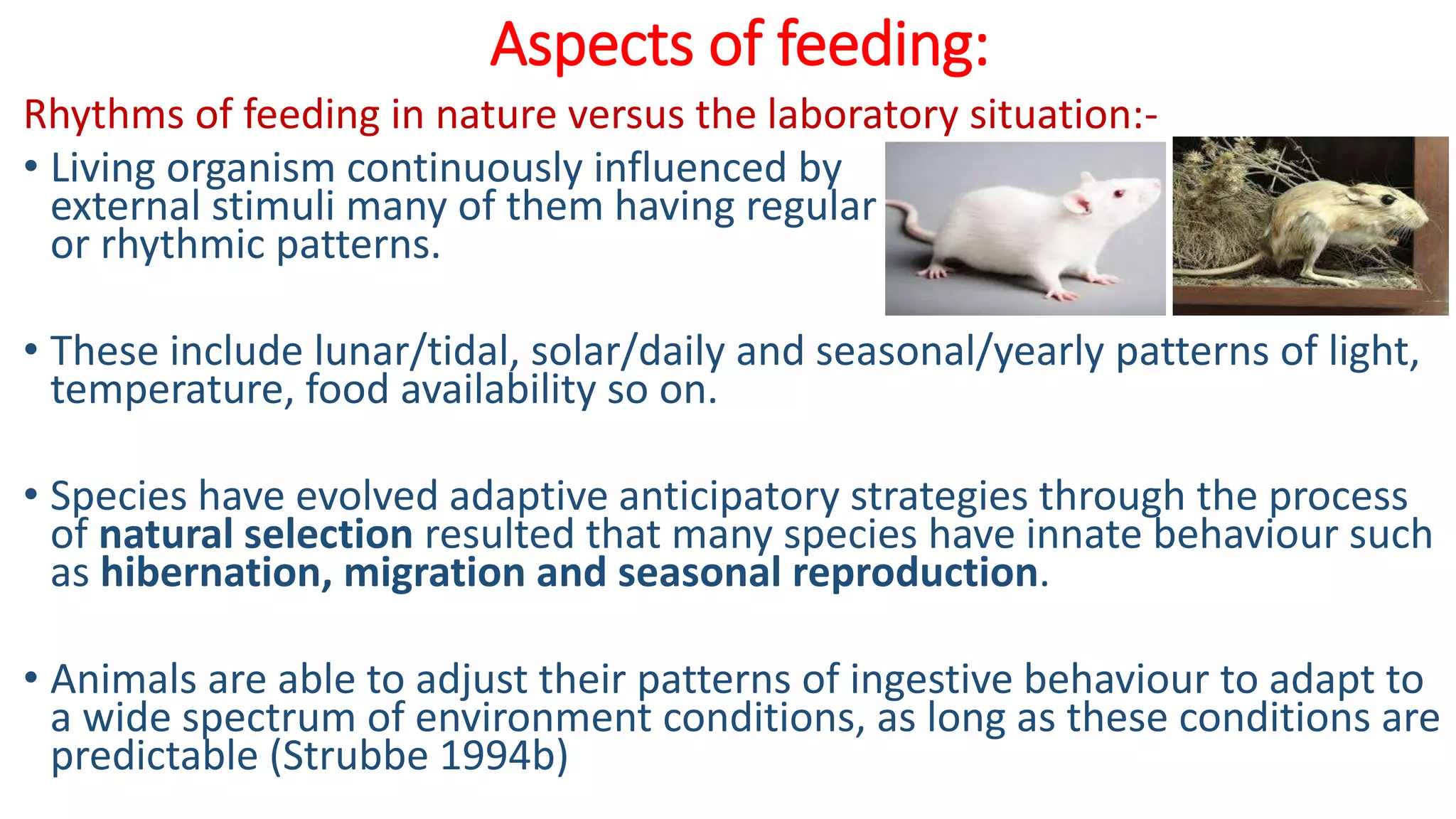 Feeding of laboratory animals by Dr.SUNIL KUMAR BOYA | PPTX